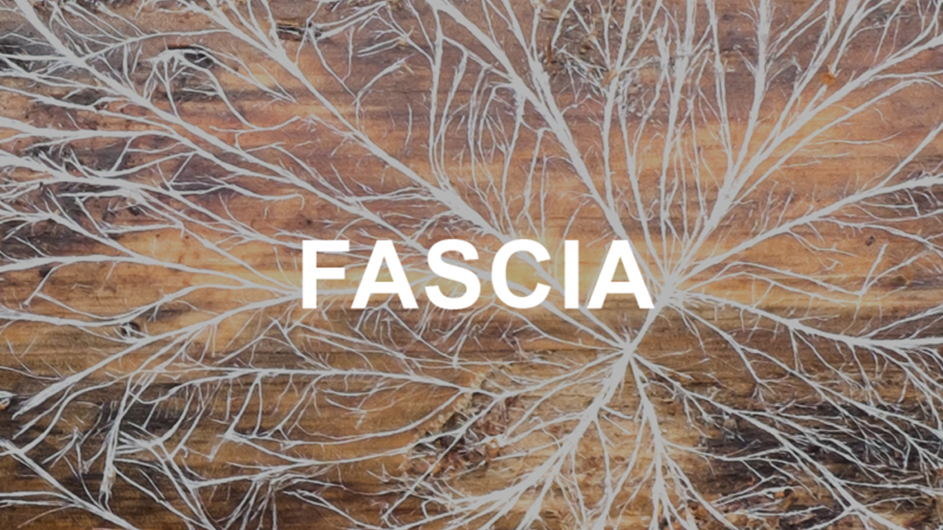 Stress & Myofascial Release – Prana Hot Yoga + Bodywork